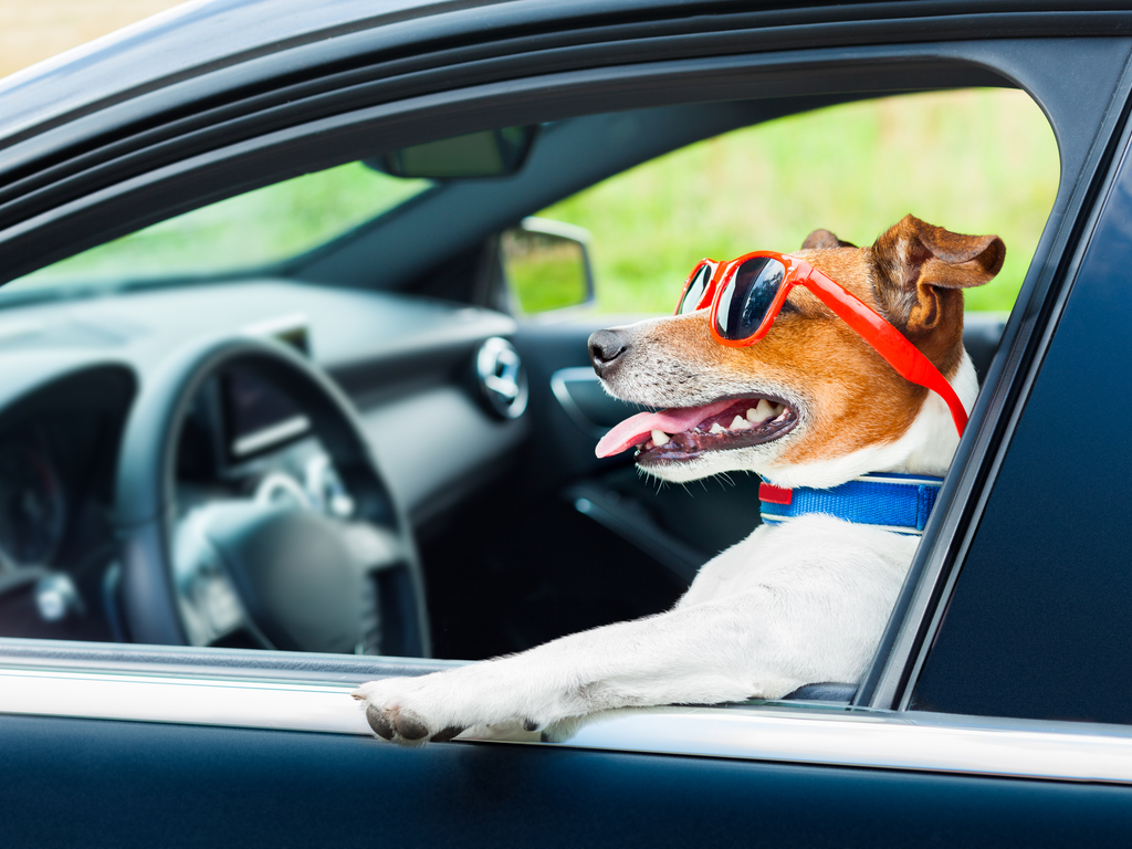 Used car test drive checklist - Car Guide Used car test drive checklist - Car Guide
